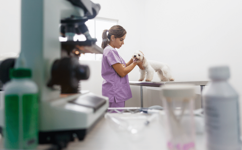 LAL in testing of veterinary medicines | FUJIFILM Wako