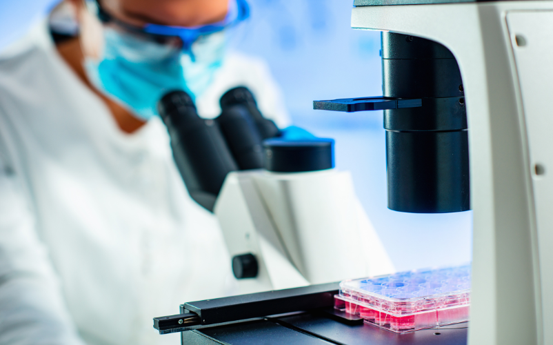 Testing for endotoxin in cell therapy products | FUJIFILM Wako