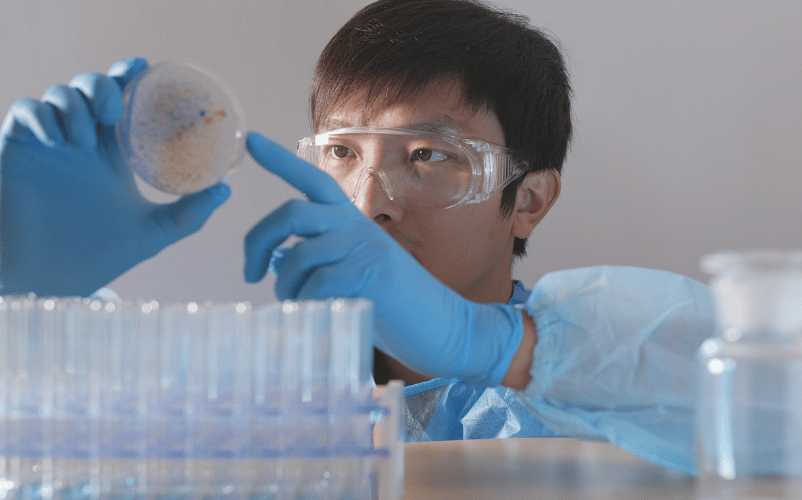 Comparing the LAL Method with the Pyrogen Test on Rabbits | FUJIFILM ...