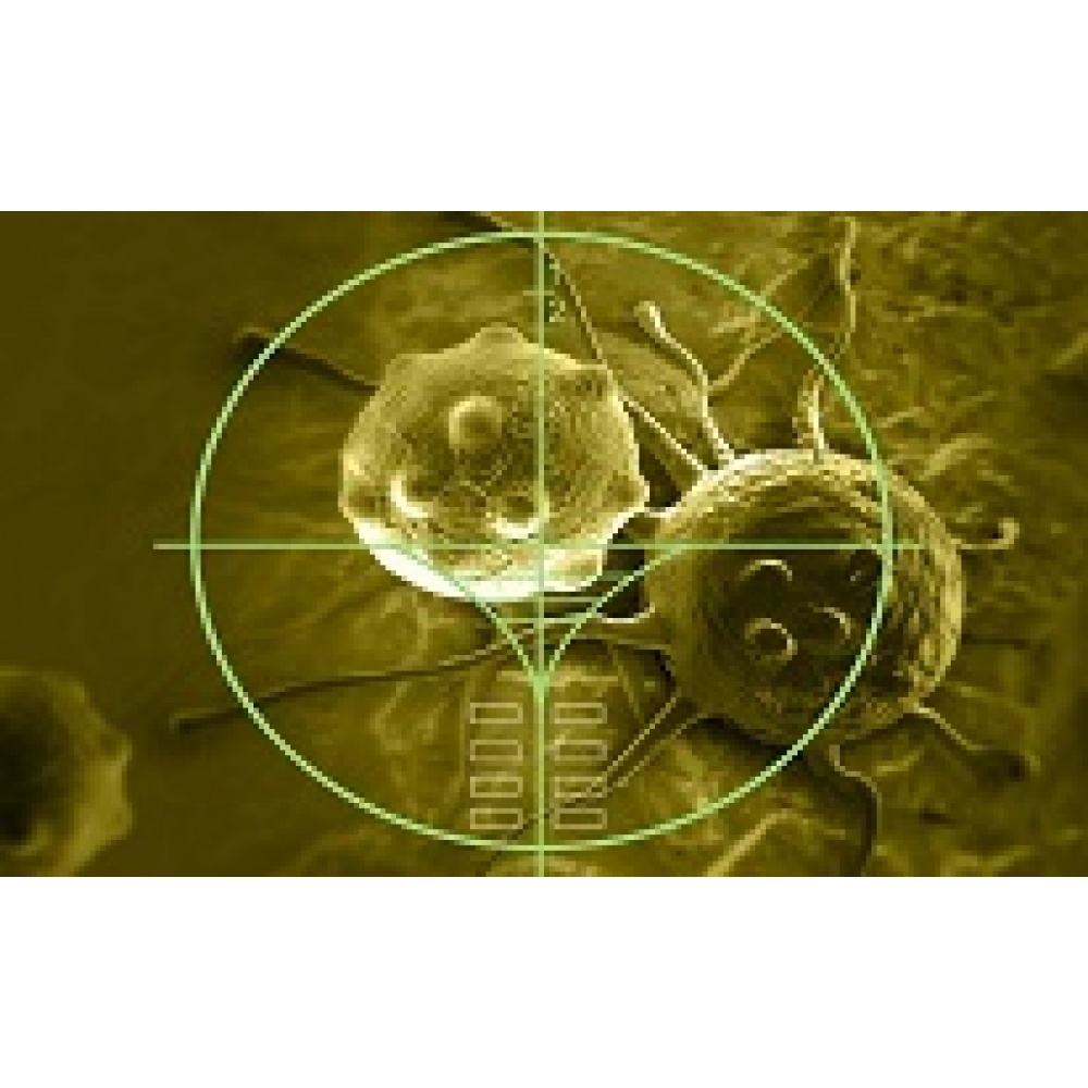 A method for detecting bacterial endotoxins | Wako PYROSTAR