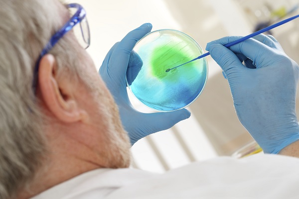 Comparing the LAL Method with the Pyrogen Test on Rabbits